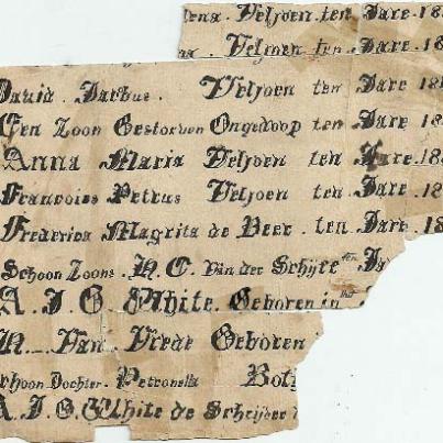 WHITE Albert Johannes Augustus gebore 1852 & Anna VILJOEN gebore 1856 ...